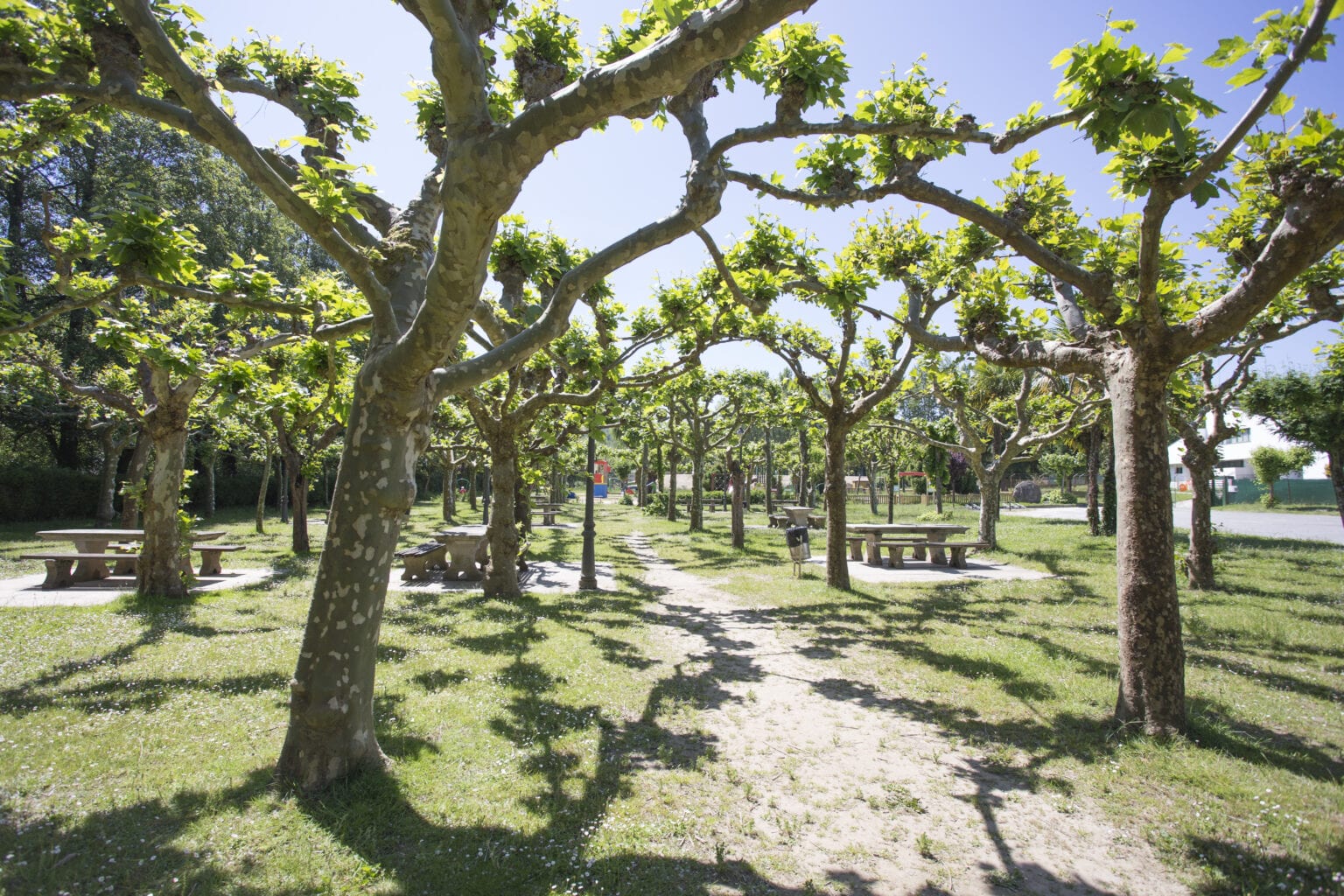 Parque do Chanto - Turismo de Sarria